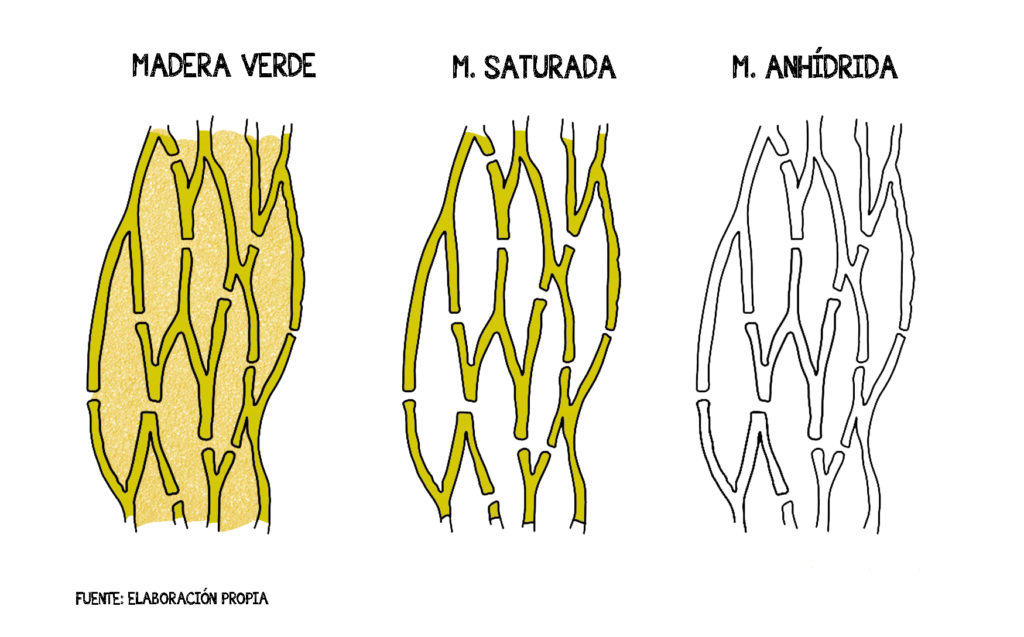 PROPIEDADES FÍSICAS – Toca Madera · Sounds Wood