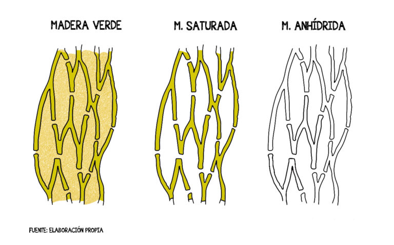 PROPIEDADES FÍSICAS – Toca Madera · Sounds Wood