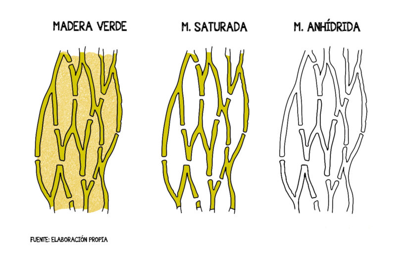 PROPIEDADES FÍSICAS – Toca Madera · Sounds Wood